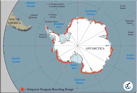 Emperor Penguin Range Map3 Penguins International