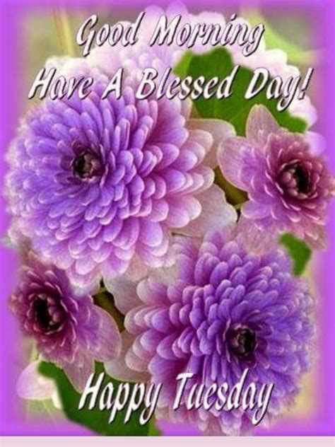 7 Happy Tuesday Greetings Quotes And Good Morning Images With Flowers
