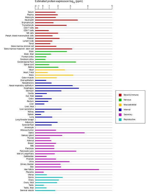 Krt5 Gene Genecards K2c5 Protein K2c5 Antibody