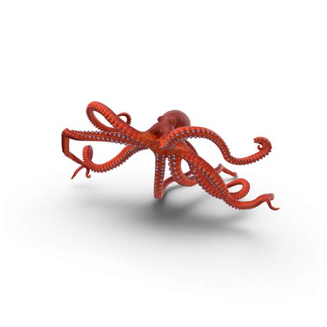 Octopus Sex Porn Png Images And Psds For Download Pixelsquid