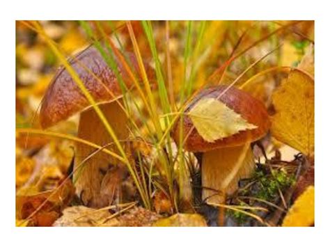 Тренувальні вправи 8 клас