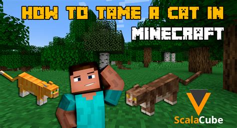 How To Tame A Cat In Minecraft ScalaCube