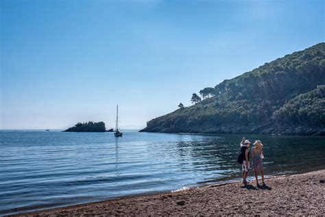 Imágenes De Delba Descubre Bancos De Fotos Ilustraciones Vectores Y