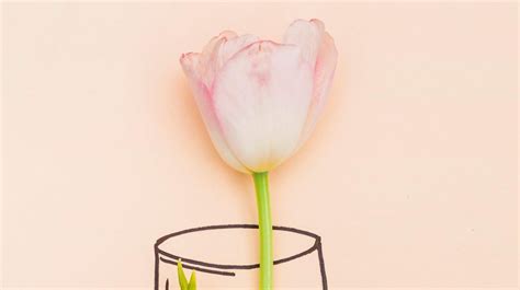 8 способов нарисовать цветы акварелью и карандашами Блог издательства «Манн Иванов и Фербер