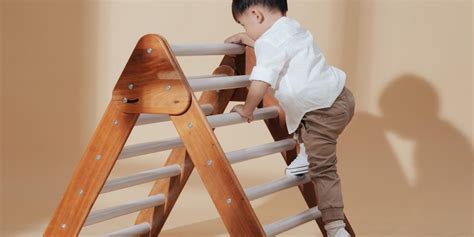 The Functional Emotional Developmental Levels