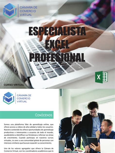 Brochure Excel Profesional Pdf Pdf Microsoft Excel Tecnología De Información Y Comunicaciones