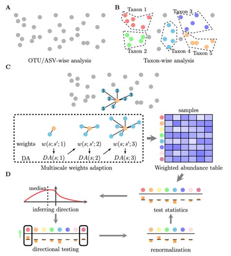 Illustration Demonstrating Otu Asv Wise Analysis Taxon Wise Analysis Download Scientific