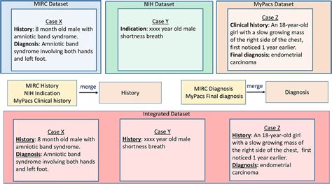 frontiers biomedical heterogeneous data categorization and schema