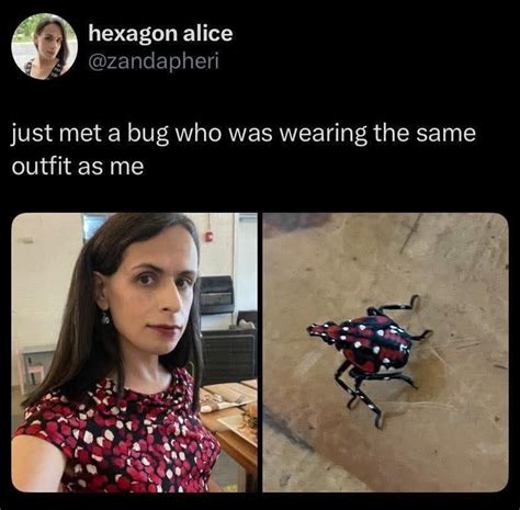 Sunday Dumpday 182 Album On Imgur