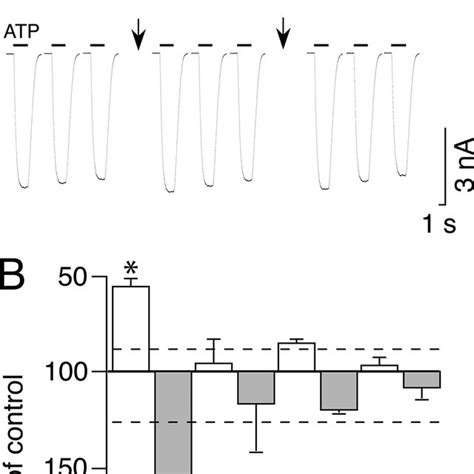 Engineered Disulfide Cross Linking Experiments Support Interaction Download Scientific Diagram