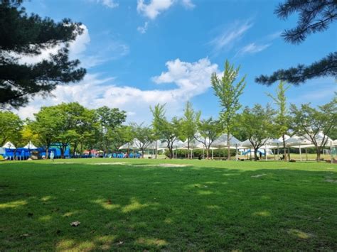 대덕 연구단지 종합운동장 무료물놀이장 즐기기~💦 네이버 블로그