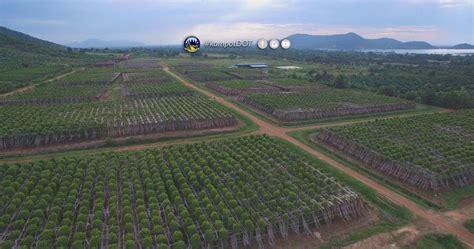 ខេត្តកំពត មាន តំបន់ ទេសចរណ៍ ២៥ កន្លែង សម្រាប់ ភ្ញៀវទេសចរ ទៅ កម្សាន្ត