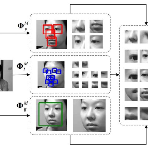 The Procedure Of Extracting Multi Granularity Facial Patches Which