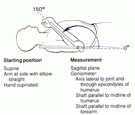 Elbow Flexion Goniometry