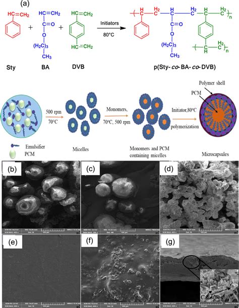 A Schematic Diagram Of Copolymerization Of Styrene Divinyl Benzene Download Scientific