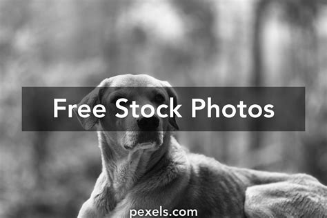 Lock Animation Photos Download The Best Free Lock Animation Stock