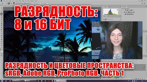 Разрядность 8 и 16 бит Разрядность и цветовые профили Часть 1 Стив Ласмин Youtube