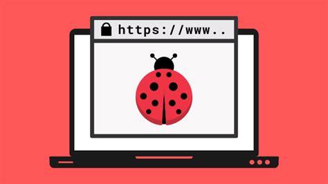 The 7 Best Bug Bounty Programs For Beginners 2025 Guide