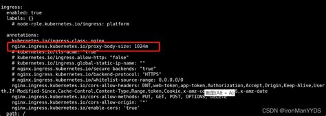 Vue中通过minio上传文件minio Vue Csdn博客