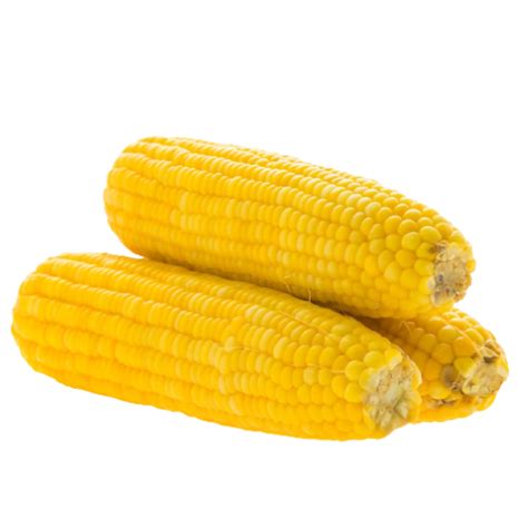 Buy Corn Seeds Online Australia Barossa Valley Seeds