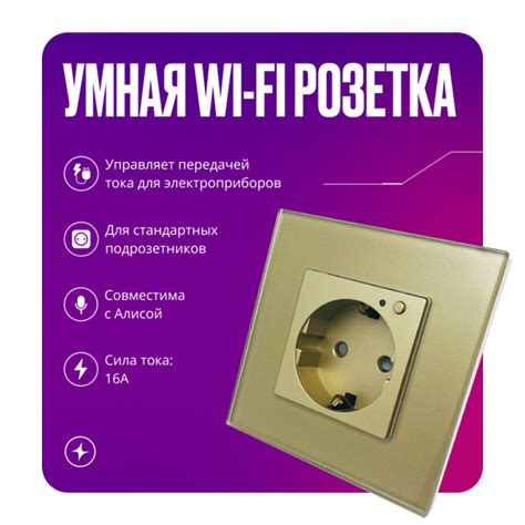 Умная Wi Fi розетка на 16А для круглого подрозетника с заземлением и шторками в стеклянной