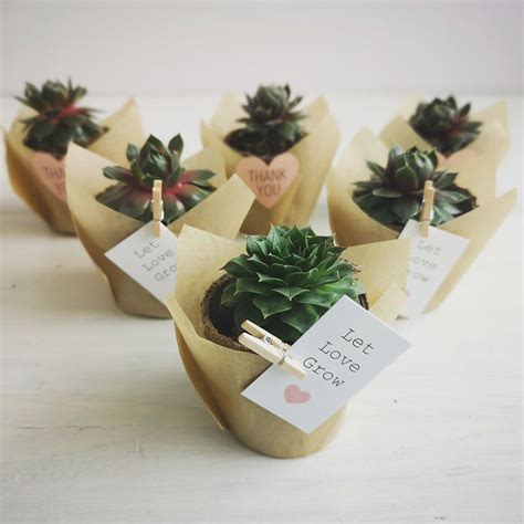 Succulent Wedding Favors Plant Wedding Favours Canada Gt Plants