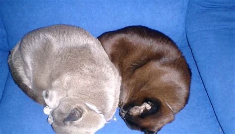 Monitoring The Tempdb Version Store