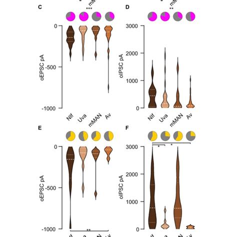 Summary Data Organized By Pns And Monosynaptic Connectivity Map Hvc