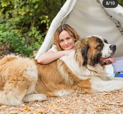 святозар 1 — Postimages