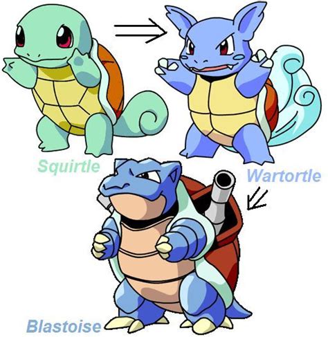 Nombres De Evolucion De Squirtle Lista De Pokémon Pdf Formas De