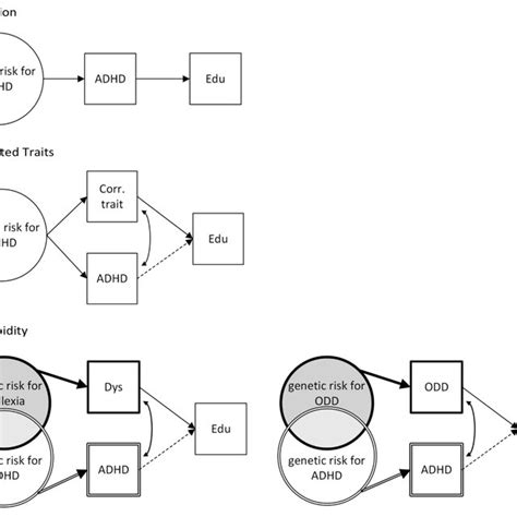 Potential Genetic Models Explaining Shared Genetic Risk Between Adhd Download Scientific