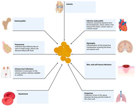 Staphylococcus Aureus Infection