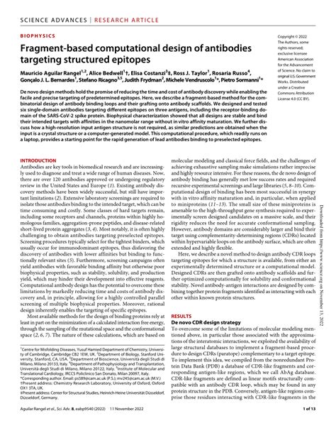 Pdf Fragment Based Computational Design Of Antibodies Targeting Structured Epitopes