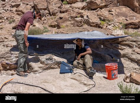 Paleontologists Work In The Morrison Formation In The Burpee Dinosaur