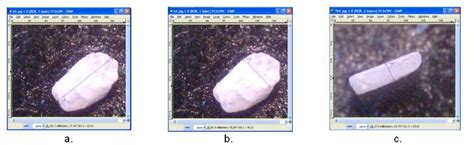 The Task Window Of Software Gimp A The Image Of Download Scientific Diagram