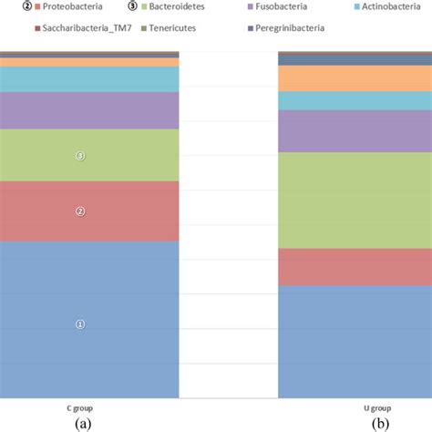 Sample Comparison At The Phylum Level A C Group Healthy