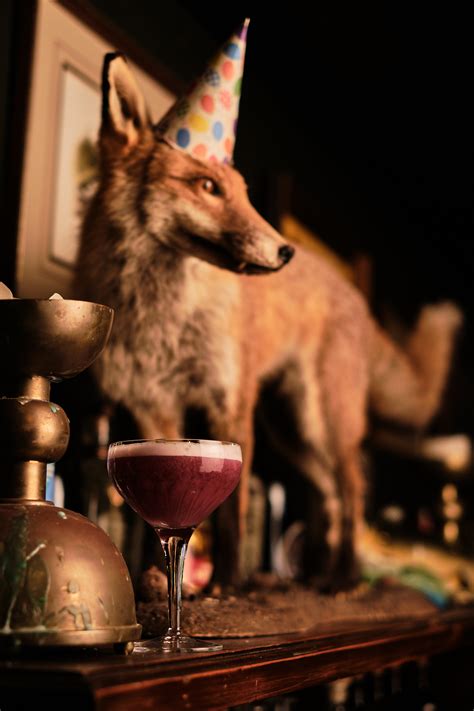 Contact — Foxtrot Unicorn