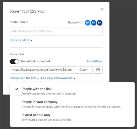 Excel Online With Shareable Link Set To People With The Link Box