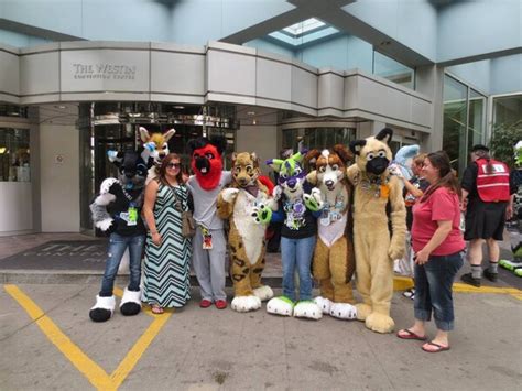 Artwork Gallery For Layla Wolf Fur Affinity Dot Net