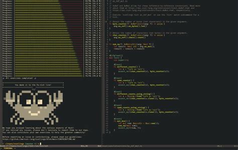 Rust Learningjourney Sun C