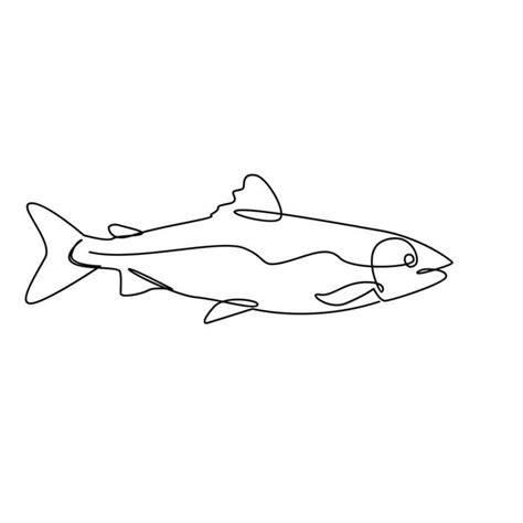 Salmon Line Art Vector Art Icons And Graphics For Free Download