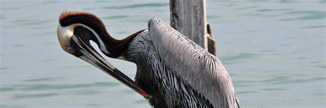 Check For Nonces In WordPress AJAX Calls Barry Kooij