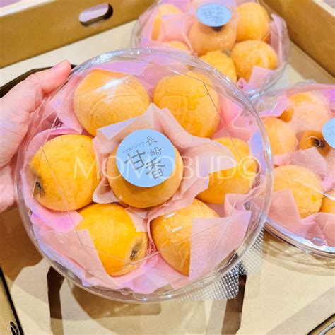 Jumbo Japanese Amaka Biwa Loquat 500g Punnet — Momobud