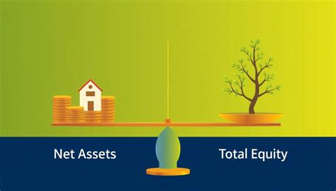 Net Assets Vs Total Equity Whats The Difference And Why It Matters