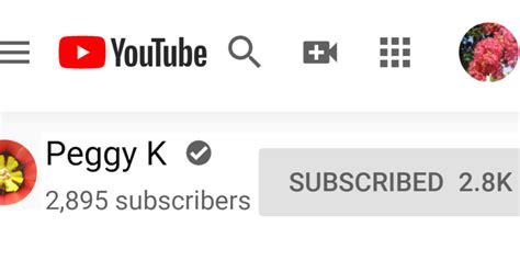 Can You See A Graph Of Youtube Subscribers Famuse 1 Models Actors Agencies