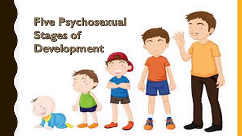 Freuds Stages Of Human Development Psychosexual Stages 42 Off