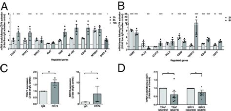 Cd74 Up Regulates Expression Of Genes That Are Part Of The Nf κbinduced