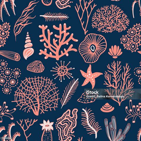 조개 산호 조류 및 불가사리와 바다 원활한 패턴 해양 배경입니다 개체 그룹에 대한 스톡 벡터 아트 및 기타 이미지 개체 그룹
