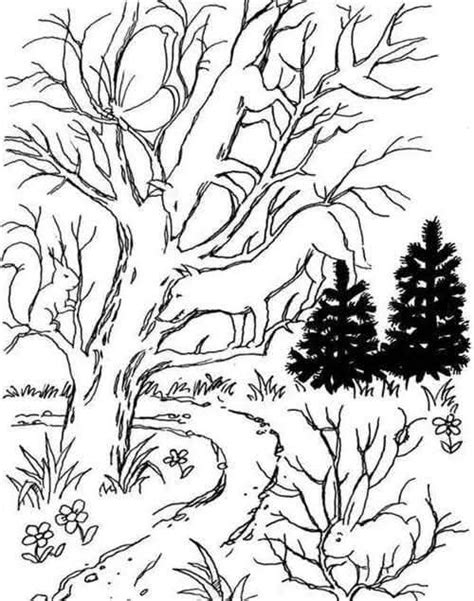 მათემატიკა რამდენ ცხოველს ხედავ Iq ტესტი შაქრო Facebook