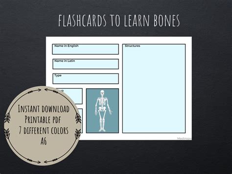 Skeletal System Flashcards PDF Printable Digital Template Study Bones Anatomy Notes